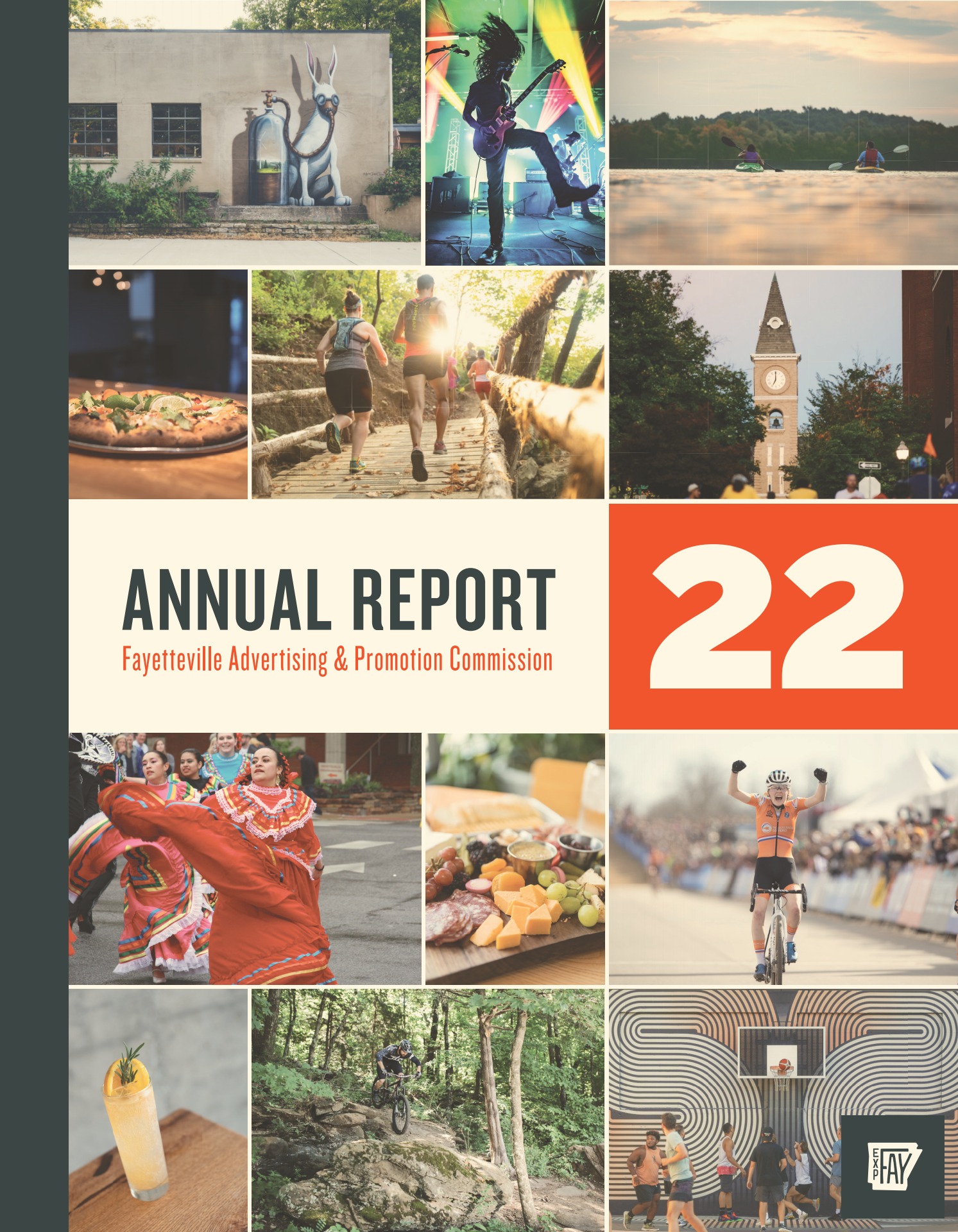 Annual Report Collages