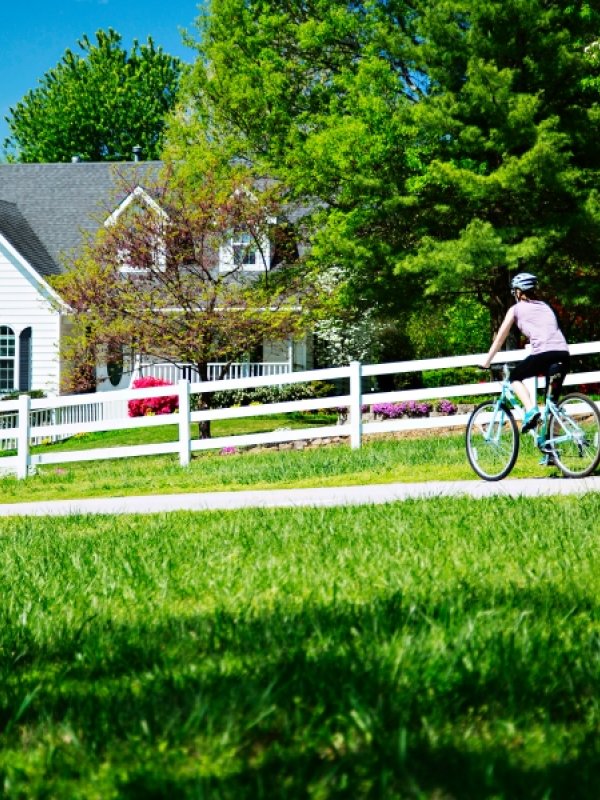 Visit Northwest Arkansas | Things to Do in Fayetteville